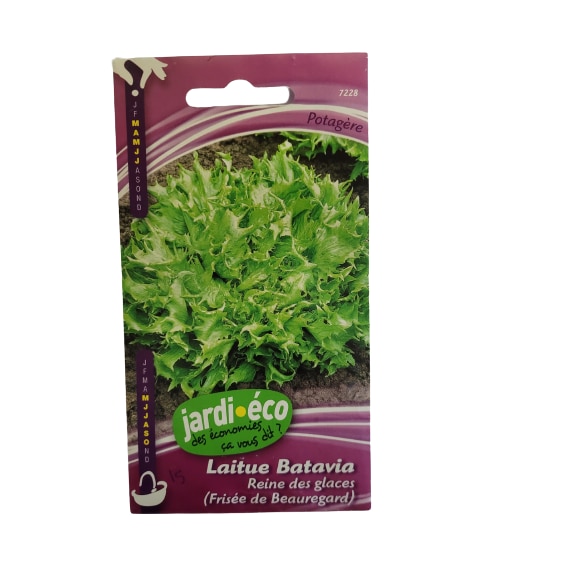 Seminte salata verde creata Jardi Eco Laitue Batavia Reine des Glaces ...