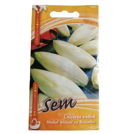 Seminte andiva Sem Chicoree Endive Meilof Witloof ou Bruxelles 4gr ...