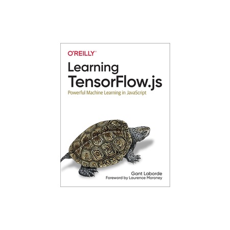 Learning Tensorflow.Js: Powerful Machine Learning in JavaScript, Gant ...