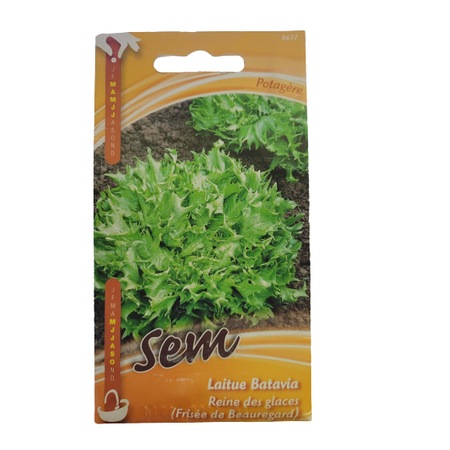 Seminte salata verde creata Sem Laitue Batavia Reine des Glaces 3 gr ...