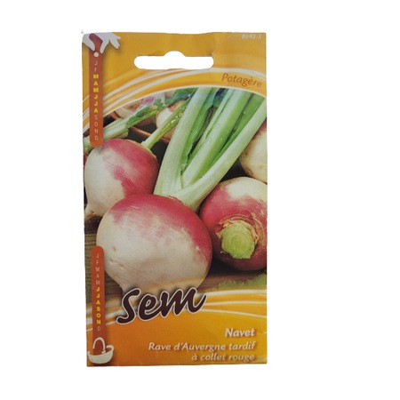 Seminte ridichi Sem Navet Rave d Auvergne Tardif a Collet Rouge 5 gr ...