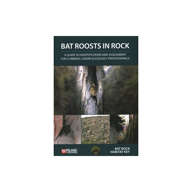 Bat Roosts in Rock - eMAG.ro