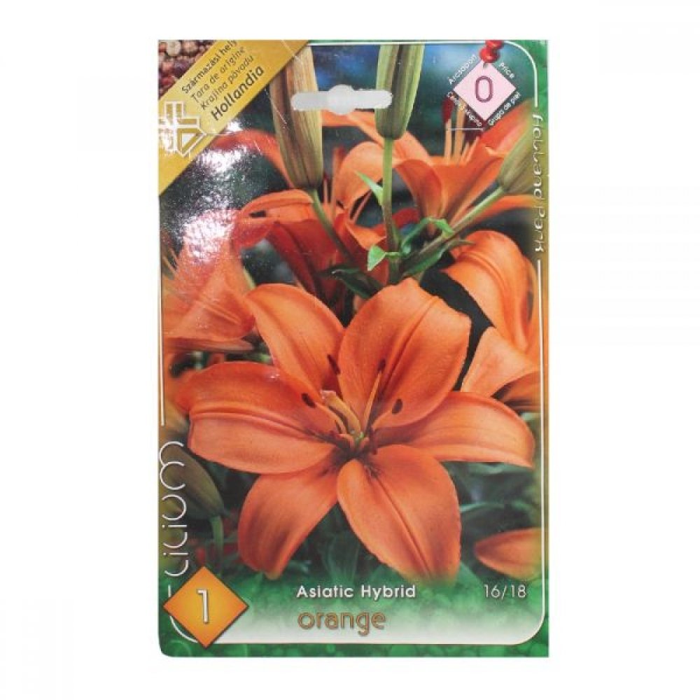 Bulbi Crin asiatic orange 1 buc/pachet - eMAG.ro
