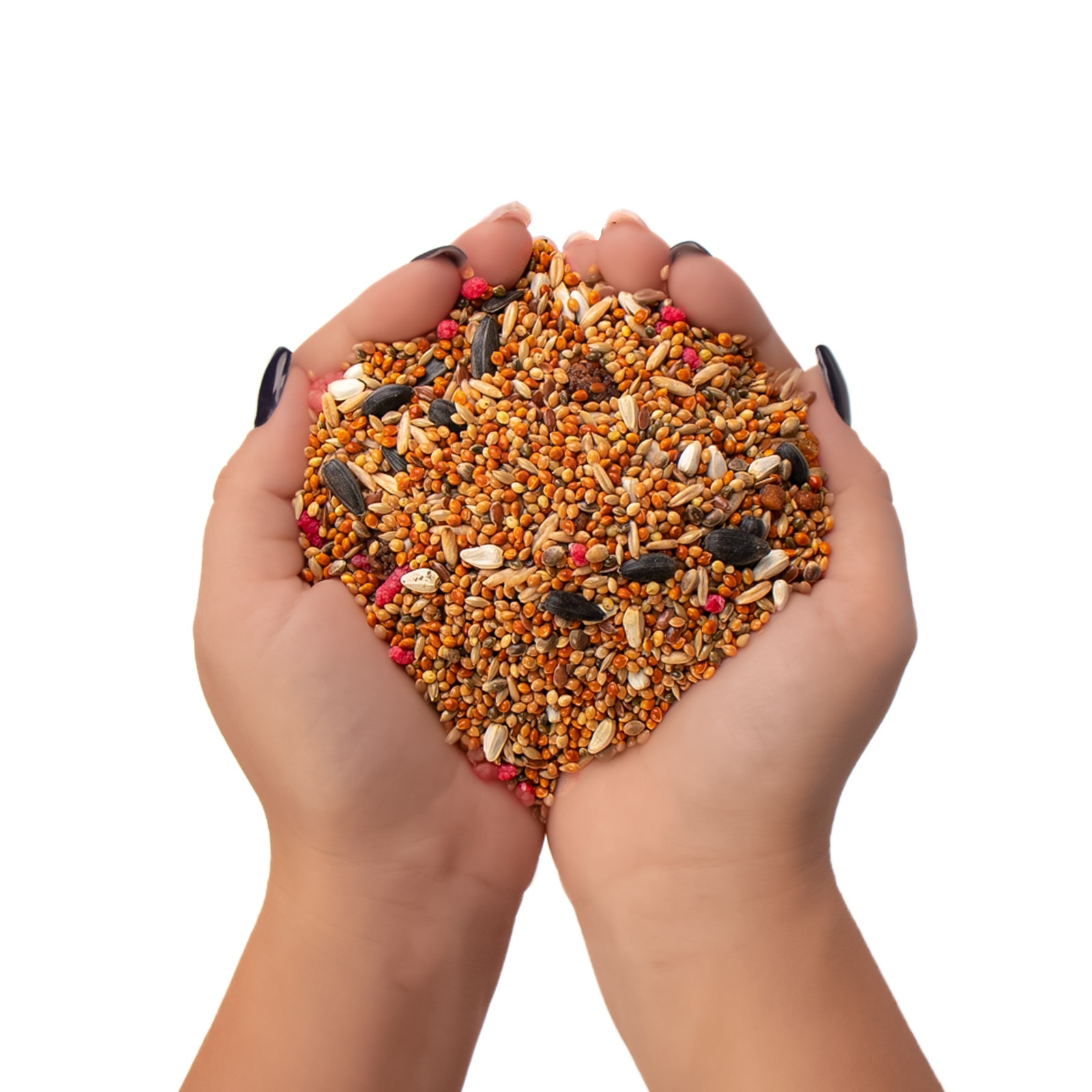 Hrana pentru papagali Premium, Gami, Seminte/Fructe uscate, 800 g - eMAG.ro