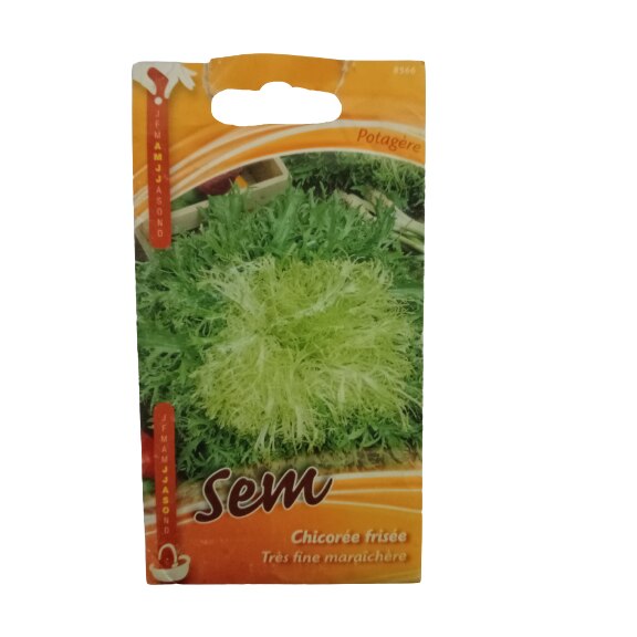 Seminte salata creata Sem Chicoree Frisee Tres Fine Maraichere 3 gr ...