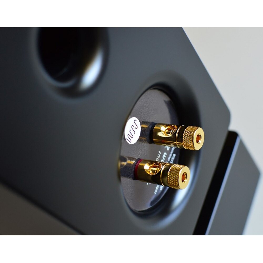 Set pick-up si boxe, ProJect, Platforma anti-vibratii, 10hz, Negru ...