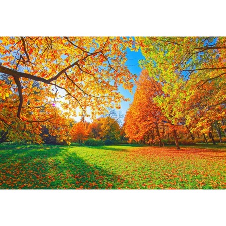 Картина на платно Ефектен парк в есенни красиви цветове, 80x50 см ...