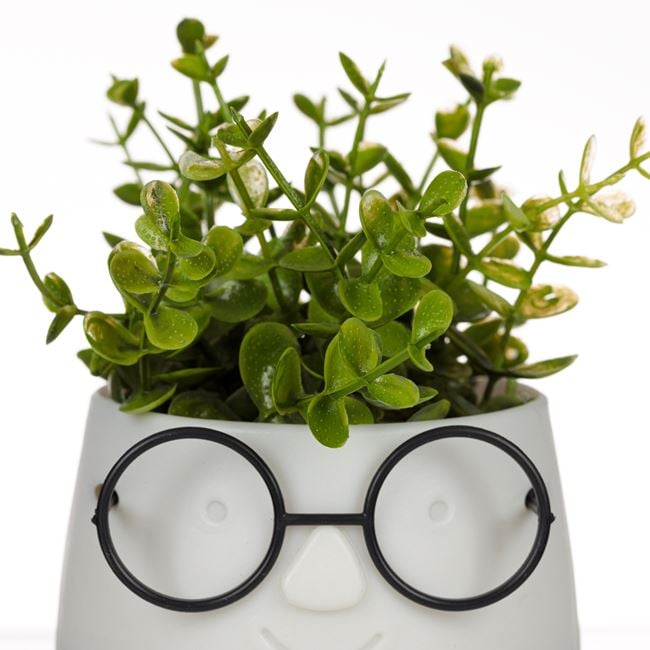 Ghiveci decorativ Herum®, din plastic cu design fata zambitoare ...