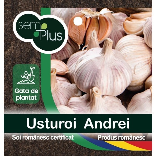 Usturoi romanesc de samanta, soi Andrei, 1 Kg - eMAG.ro