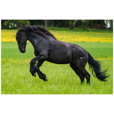 Tapet autoadeziv Premium, Priti Global, Textura canvas, Cal negru ...