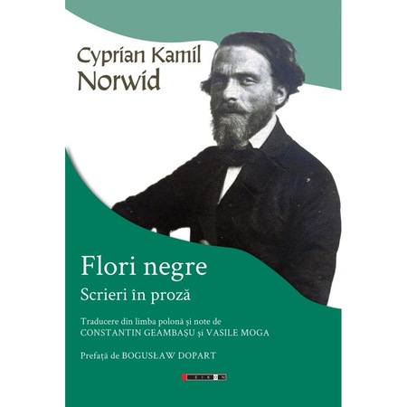 Flori Negre - Scrieri in proza - Cyprian Kamil Norwid, editia 2022 ...