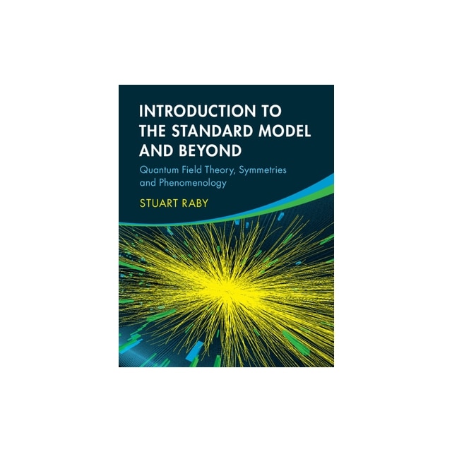 Introduction to the Standard Model and Beyond Quantum Field Theory ...
