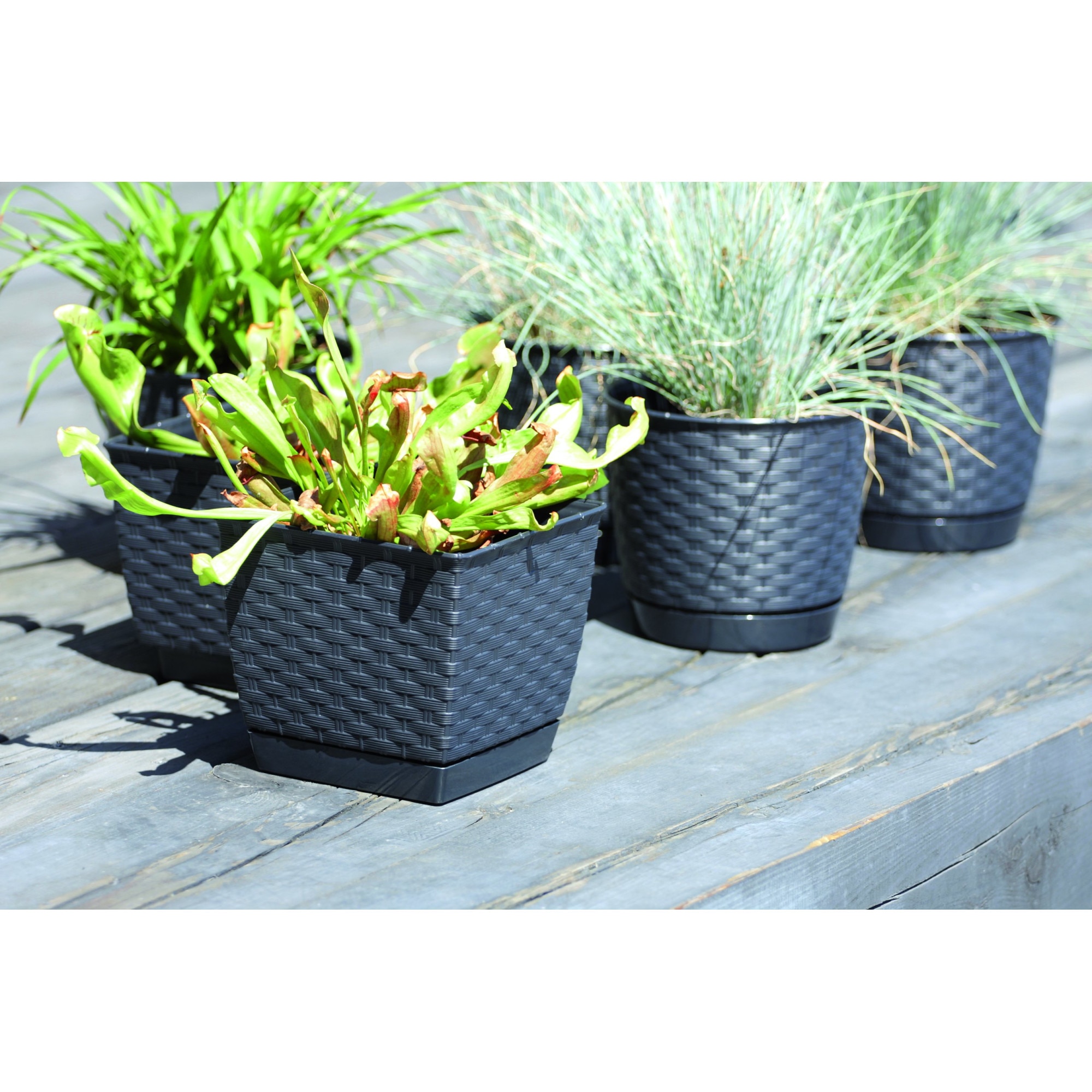 Ghiveci patrat, Prosperplast, Plastic, Negru - eMAG.ro