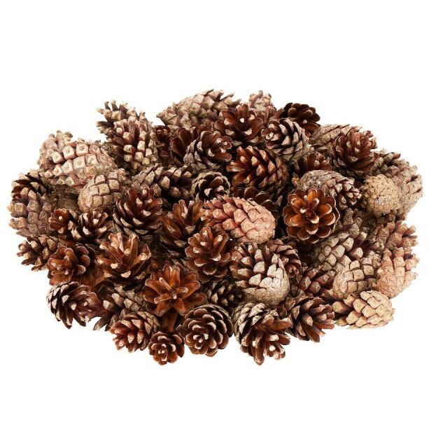 Set conuri de pin, 500 g, Maro - eMAG.ro