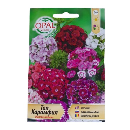 Seminte de Garoafa turceasca, 0,5 grame, Opal - eMAG.ro