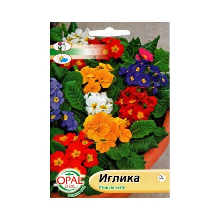 Seminte de Primula, 0,5 grame, Opal - eMAG.ro