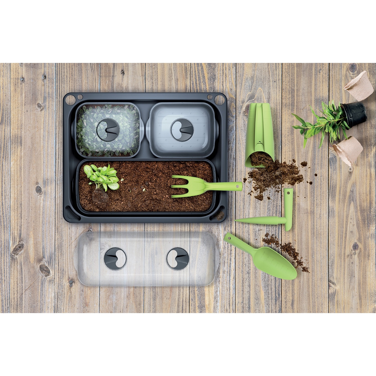 Set mini sera, Prosperplat, Plastic, Capac, Gri - eMAG.ro