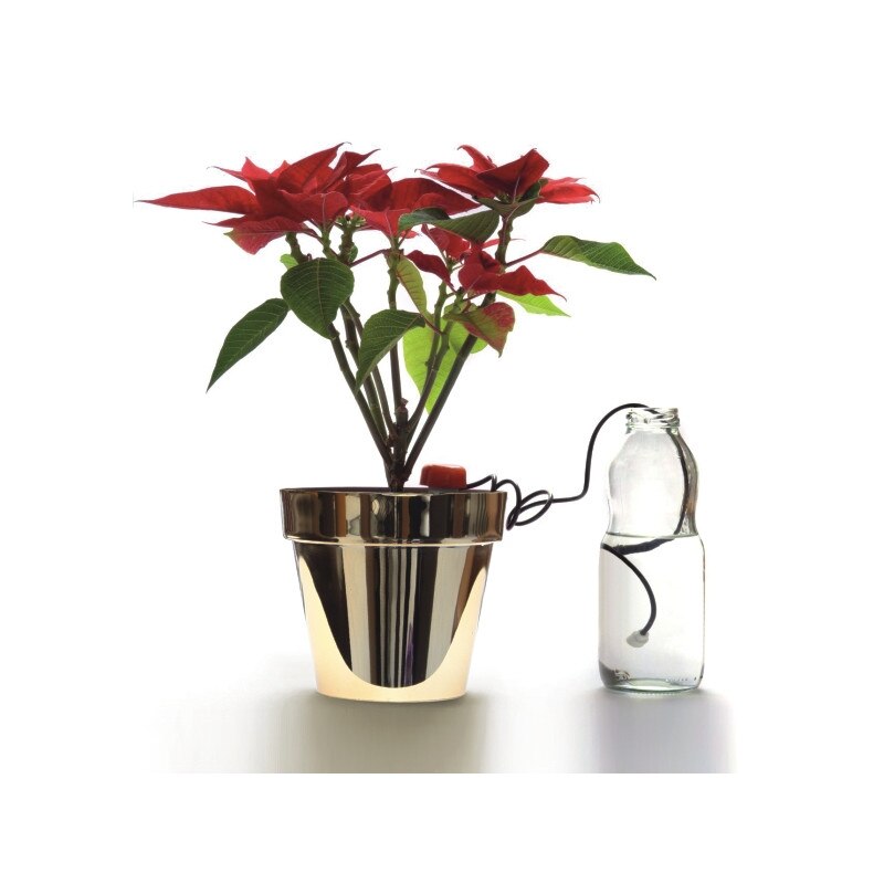 Aspersor pentru plante in ghiveci, Prosperplast, Sticla, Transparent ...