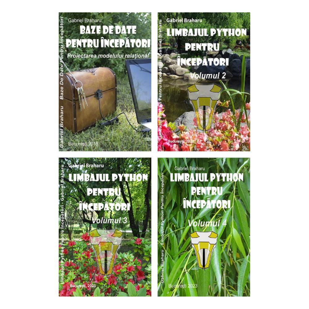 Set de 4 Carti Programare Incepatori (107), Gabriel Braharu, Colectia ...