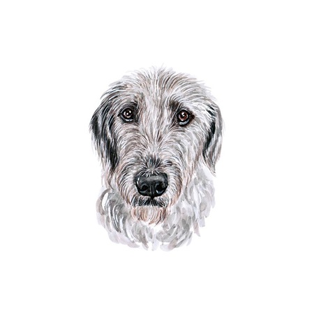 Sticker decorativ Caine Irish Wolfhound, Maro, 76 cm, 3717ST - eMAG.ro