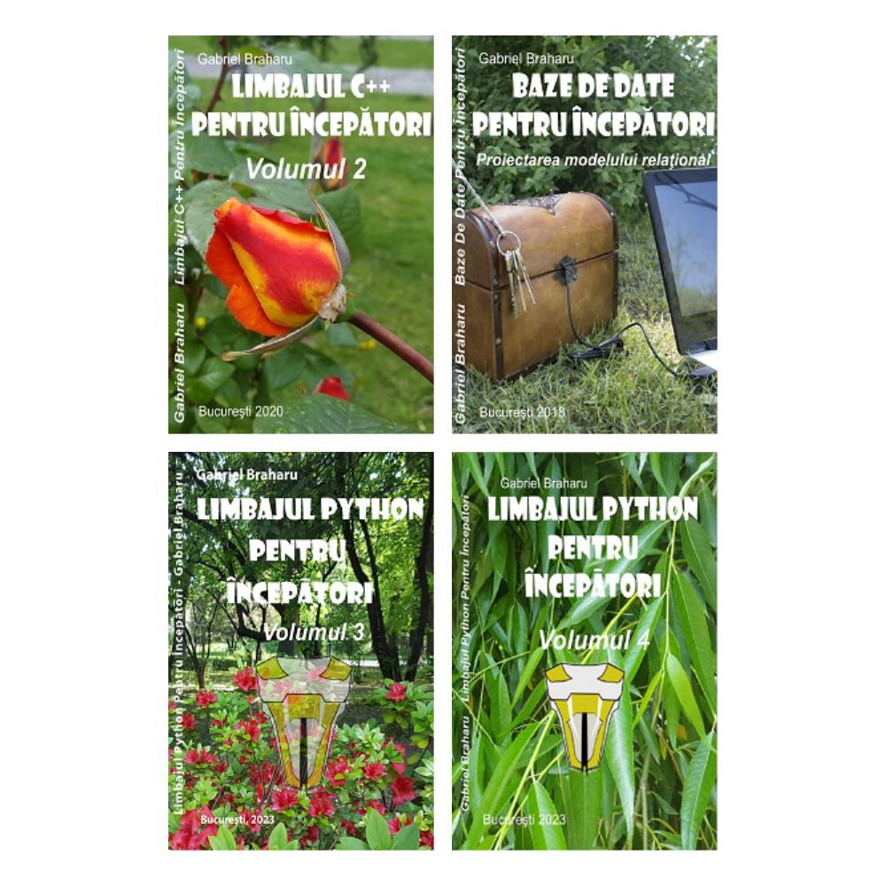 Set de 4 Carti Programare Incepatori (84), Gabriel Braharu, Colectia ...