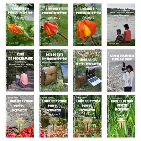 Set de 11 plus 1 Carti Programare Incepatori (28), Gabriel Braharu ...