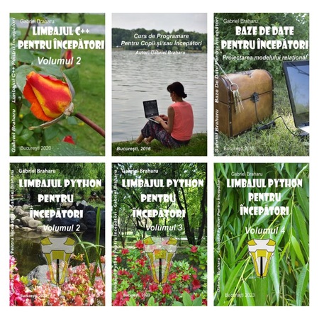 Set de 6 Carti Programare Incepatori (166), Gabriel Braharu, Colectia ...