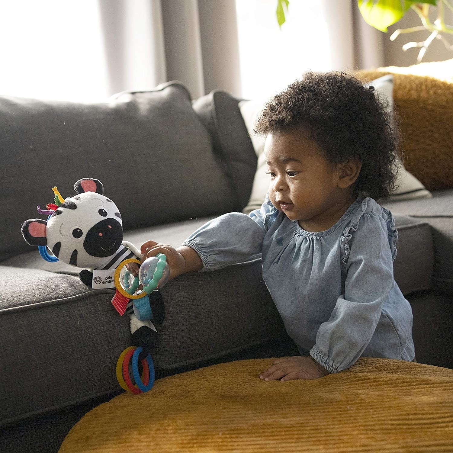 Jucarie din plus Zebra zambareata, Baby Einstein - eMAG.ro