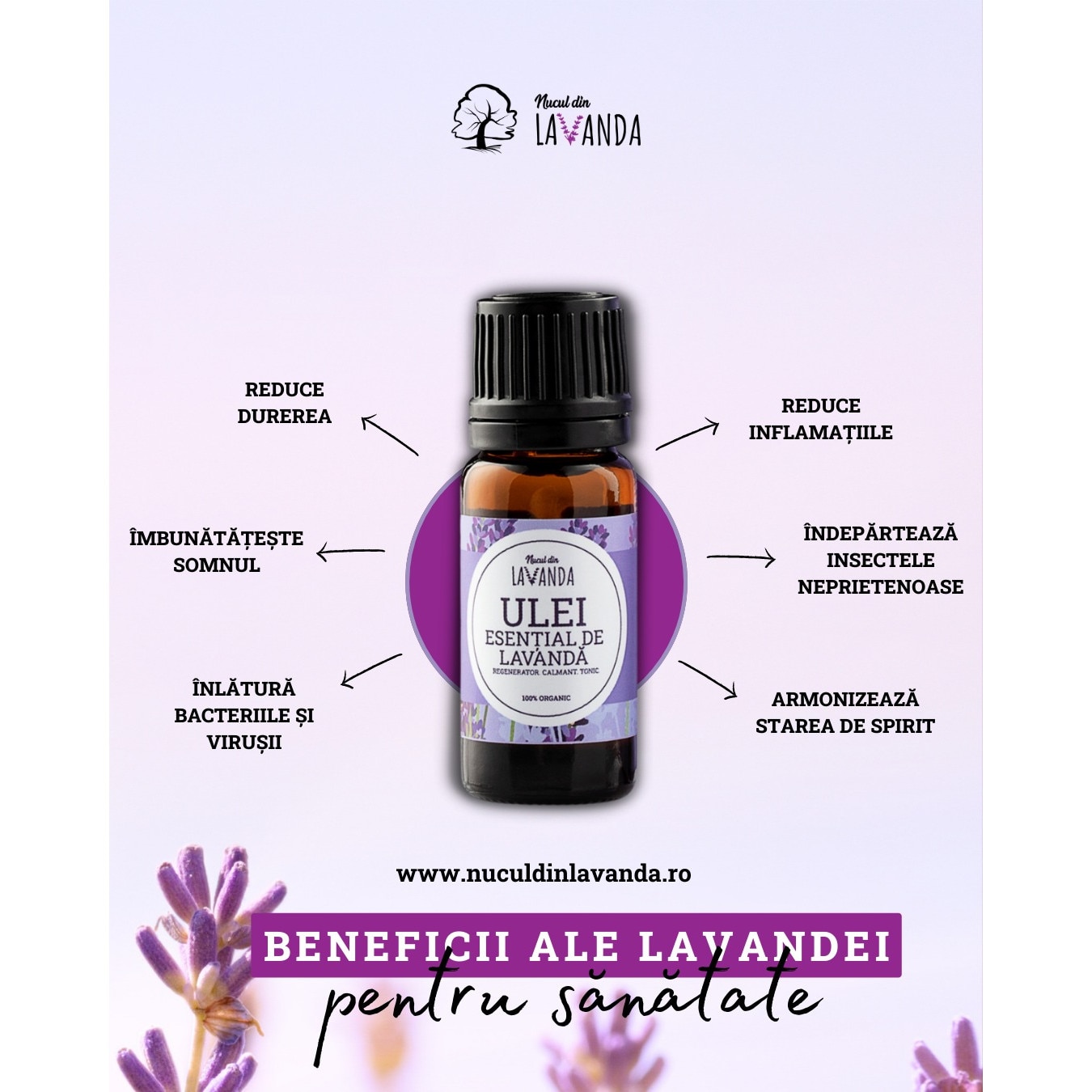 Ulei esential de lavanda, provenit din cultura ecologica, Nucul din ...