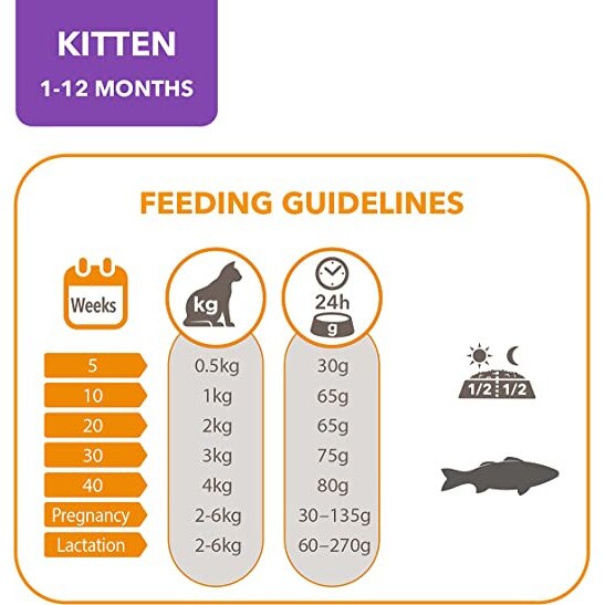 Hrana uscata pentru pisici IAMS Vitality Kitten cu Peste Oceanic 10 kg ...