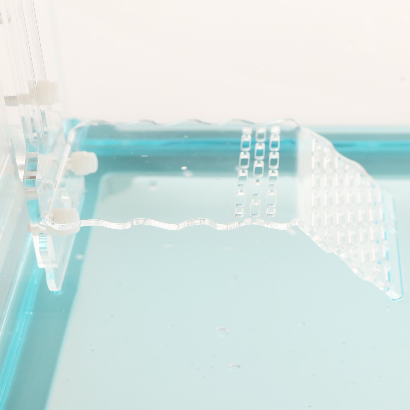 Platforma pentru broaste testoase Zakynthos, Terrario, Acril, 8 x 14 x ...