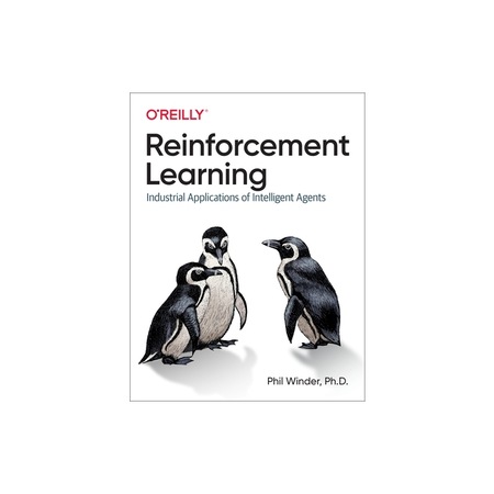 Reinforcement Learning Industrial Applications of Intelligent Agents ...