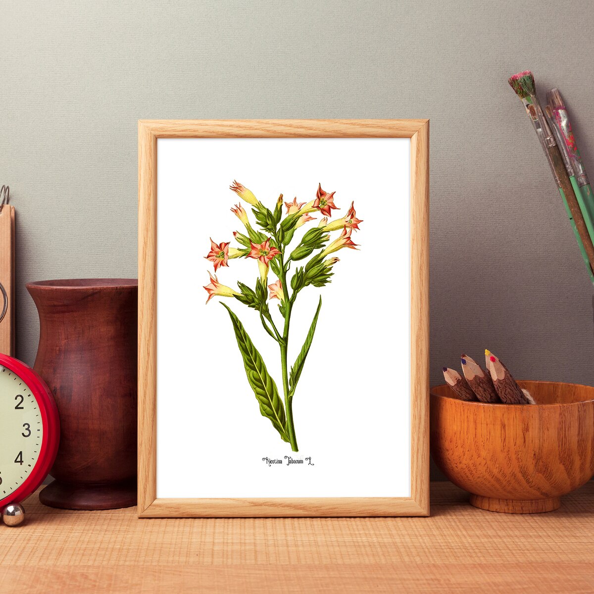 Pachet cadou: Tablou TABAC, print desen botanic vintage, cu o ...