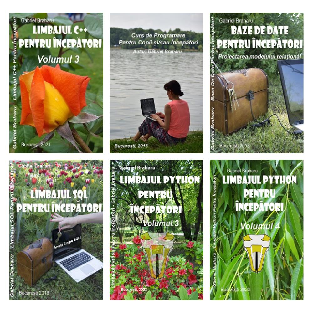 Set de 6 Carti Programare Incepatori (205), Gabriel Braharu, Colectia "Invata programare singur ...