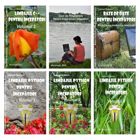Set de 6 Carti Programare Incepatori (206), Gabriel Braharu, Colectia "Invata programare singur ...