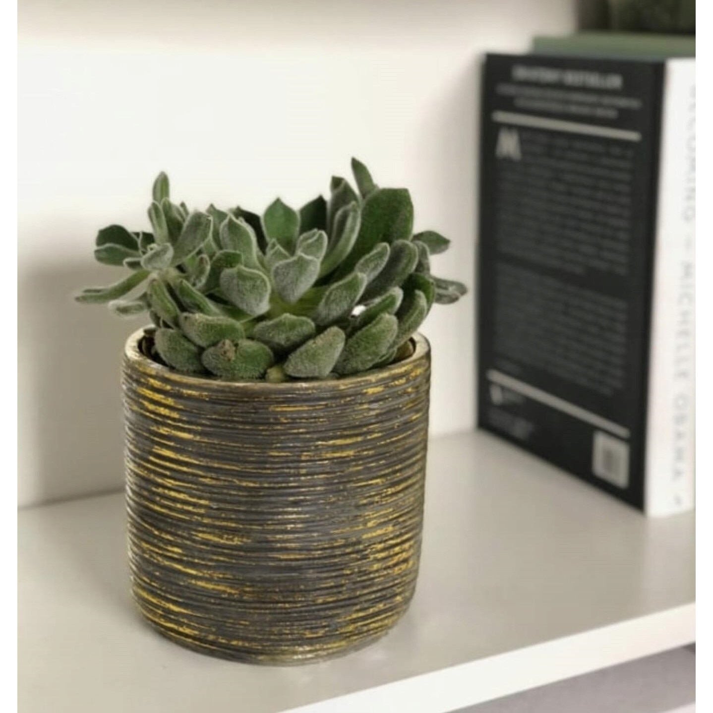 Set 2 ghivece decorative, Kotarbau, 14 cm, Ceramica, Auriu - eMAG.ro