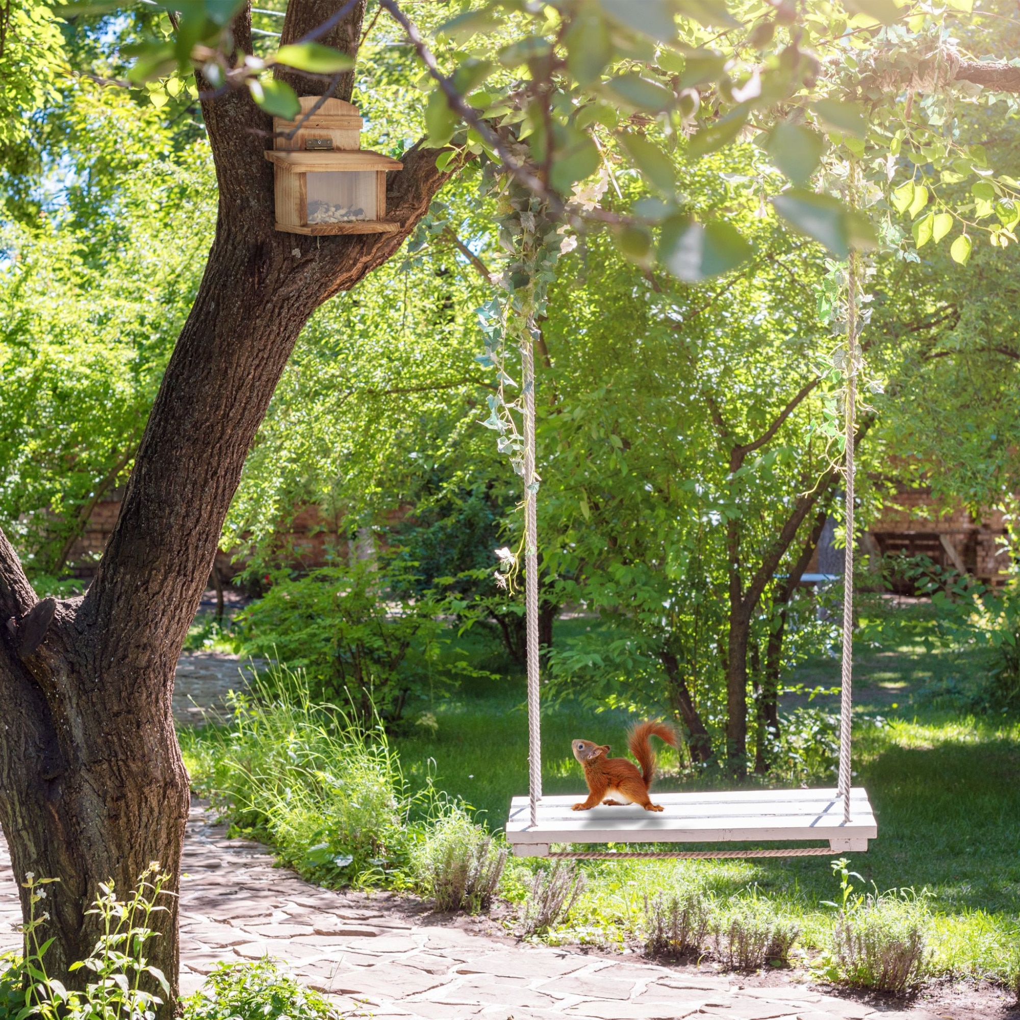 Set 2 hranitoare de veverite, din lemn, 21 x 20 x 14,5 cm - eMAG.ro