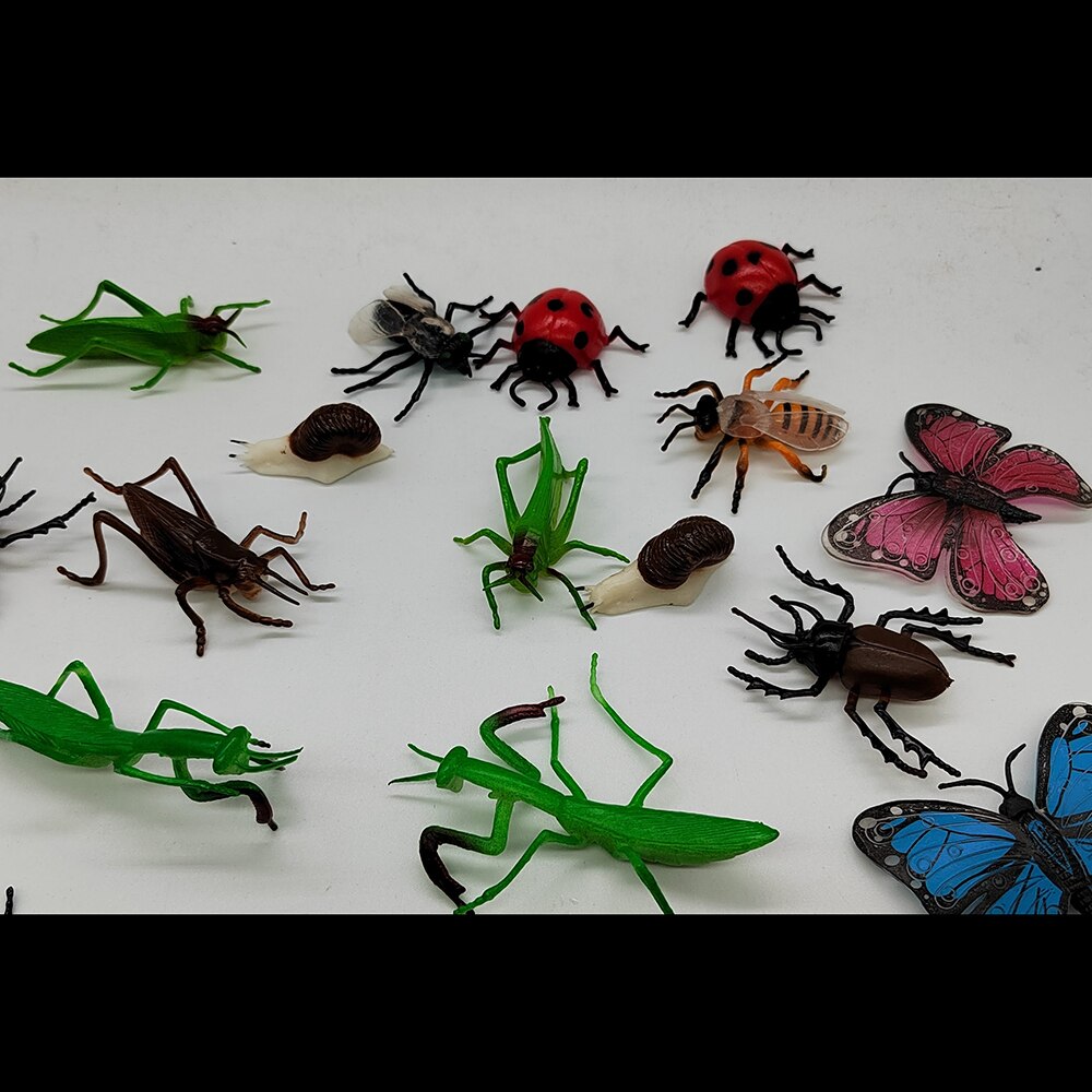 Set 20 figurine insecte, Insect World Nature, 8 cm, multicolor, Vision ...