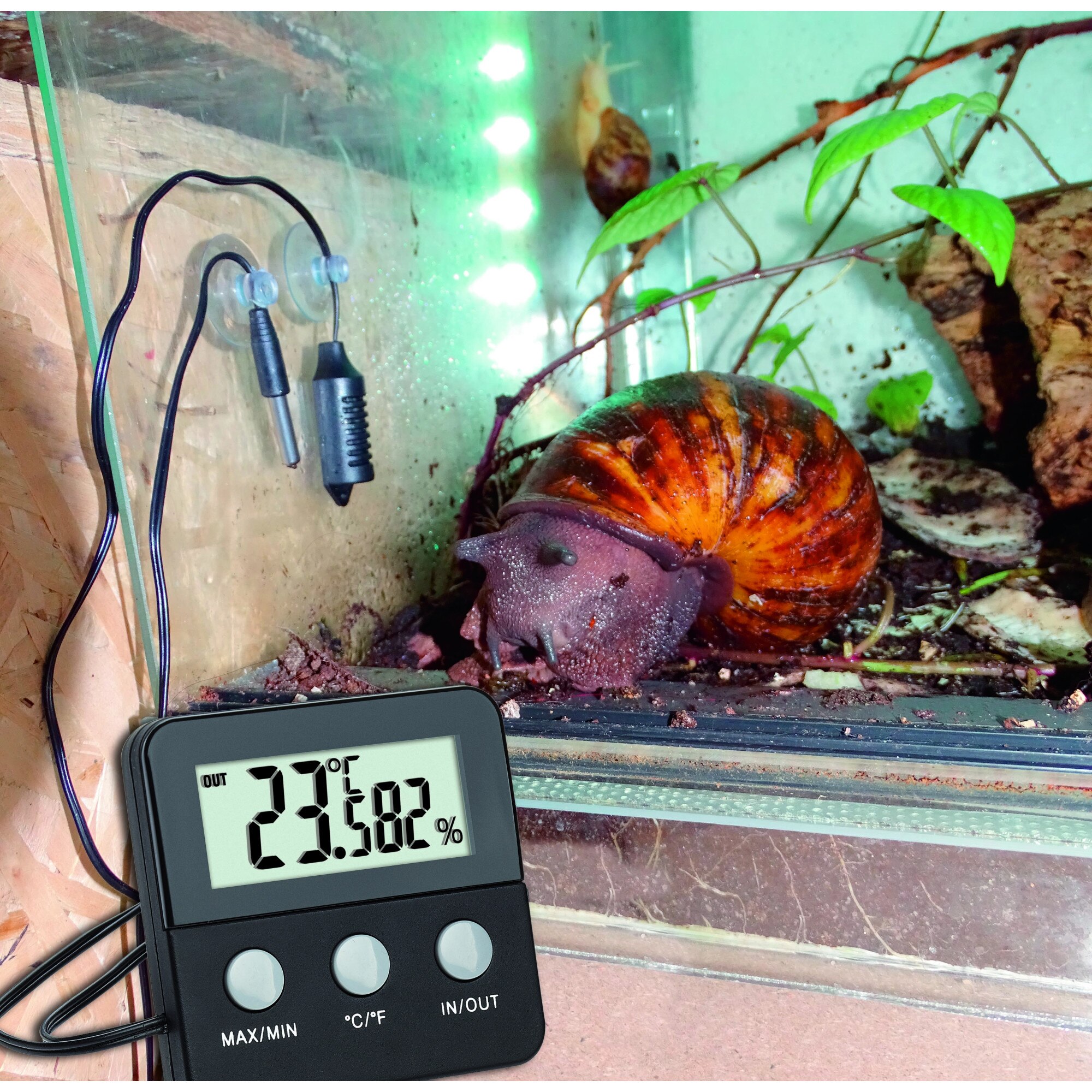 Termohigrometru digital TERRACHECK 30.5044 - eMAG.ro