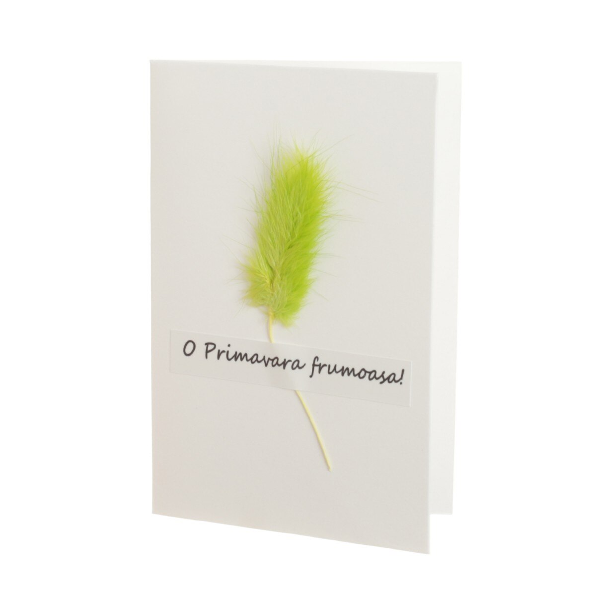 Set 14 felicitari cu modele aplicate, PAMI, FEL-17, 15x9 cm - eMAG.ro