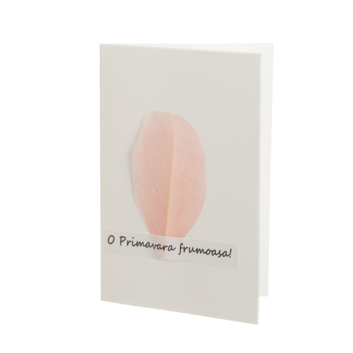 Set 14 felicitari cu modele aplicate, PAMI, FEL-17, 15x9 cm - eMAG.ro