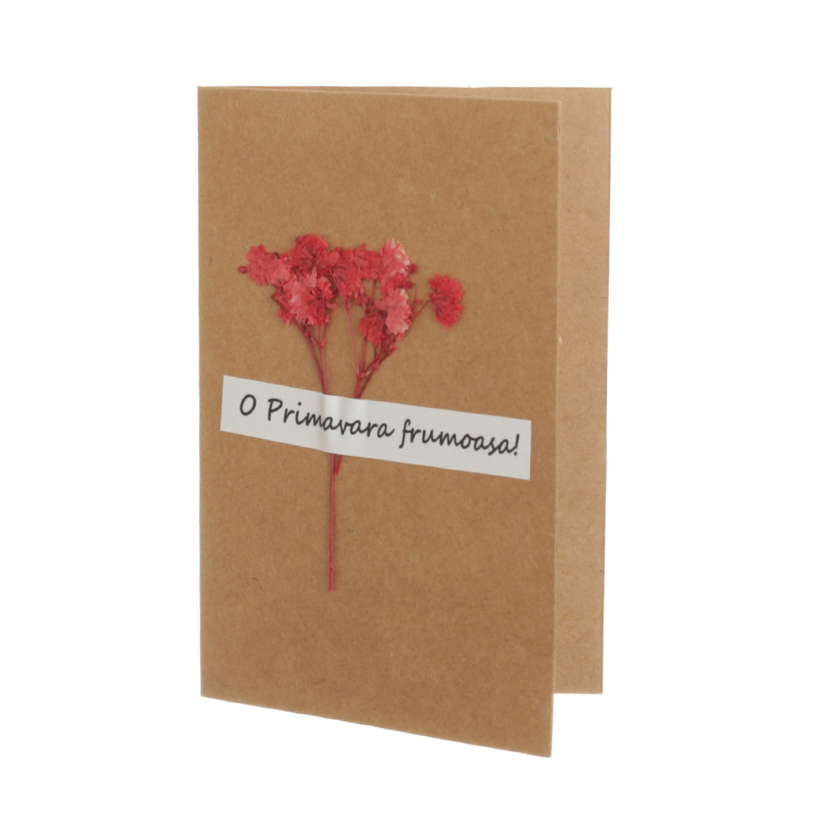 Set 15 felicitari cu modele aplicate, PAMI, FEL-11, 15x9 cm - eMAG.ro