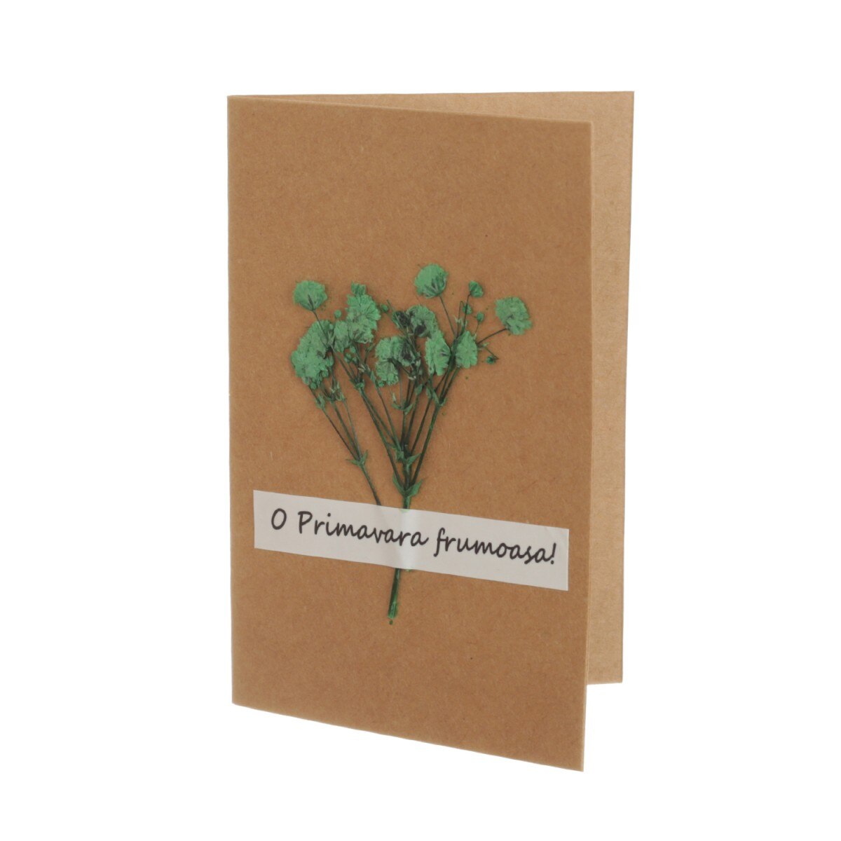 Set 15 felicitari cu modele aplicate, PAMI, FEL-11, 15x9 cm - eMAG.ro