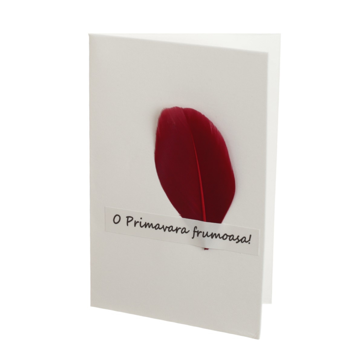 Set 14 felicitari cu modele aplicate, PAMI, FEL-17, 15x9 cm - eMAG.ro