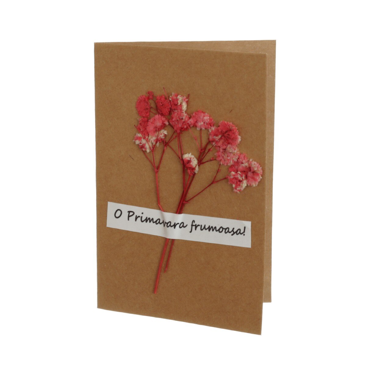 Set 15 felicitari cu modele aplicate, PAMI, FEL-16, 15x9 cm - eMAG.ro