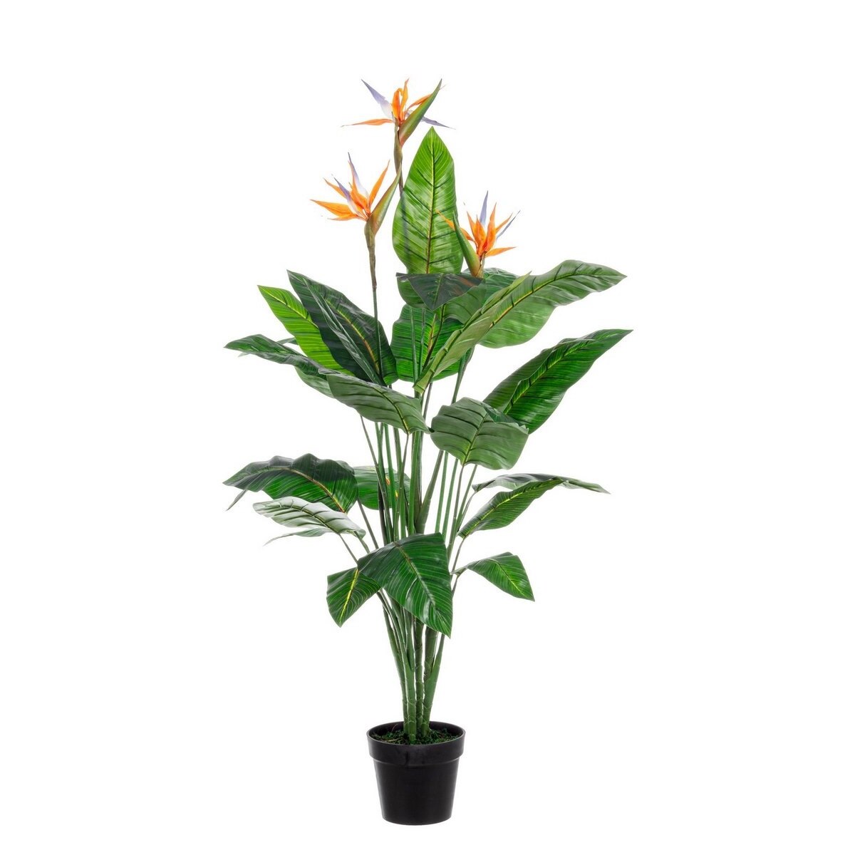 Planta artificiala exotica in ghiveci cu 30 frunze 70 cm x 70 cm x 150 ...