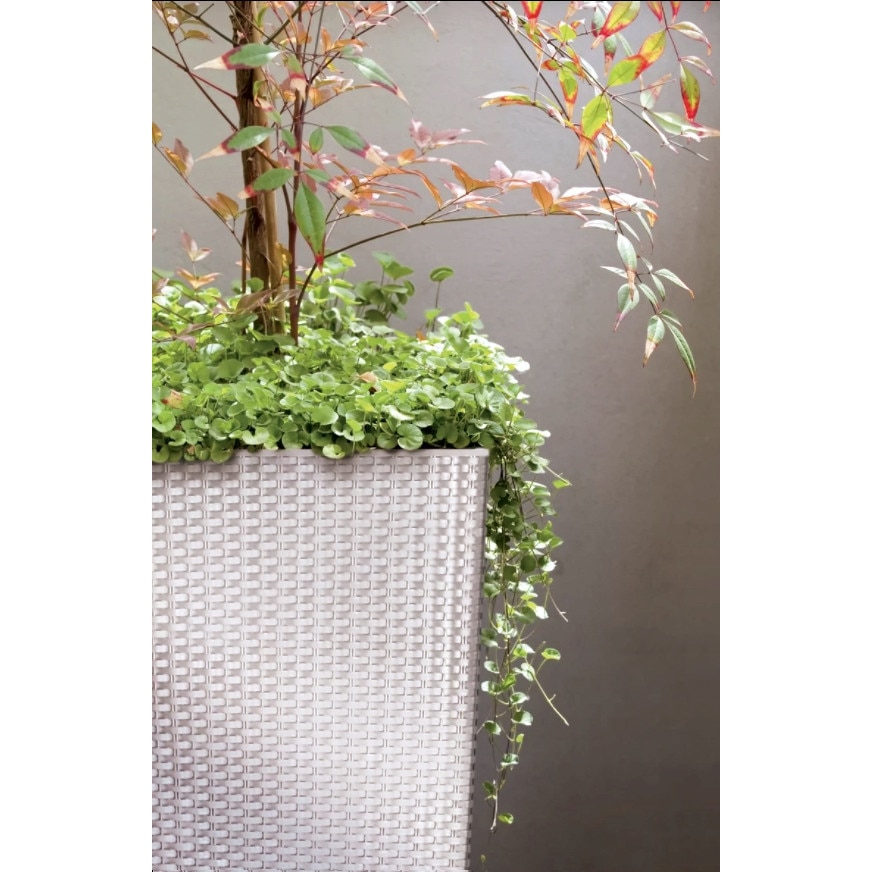 Ghiveci inalt cu insertie, Kotarbau, Plastic, 50 cm, Mocca - eMAG.ro