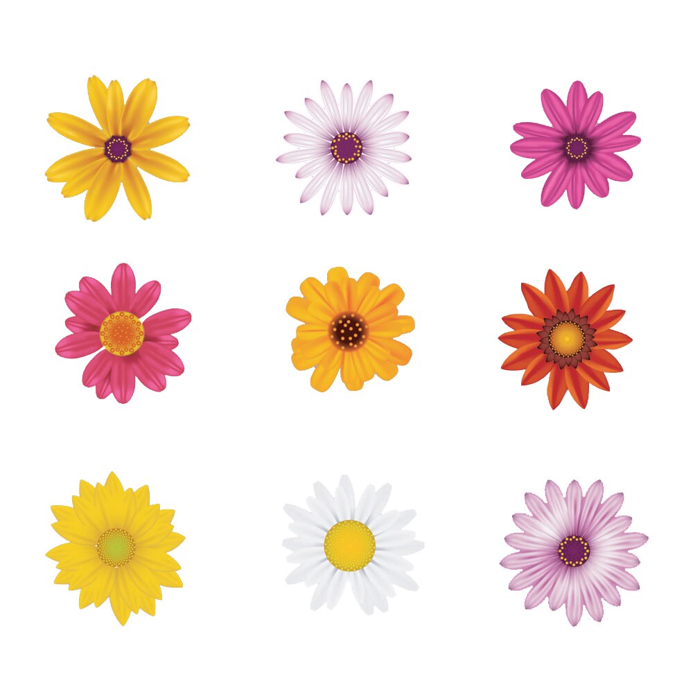 Set 9 Stickere Decorative, Model Flori, Multicolor - eMAG.ro