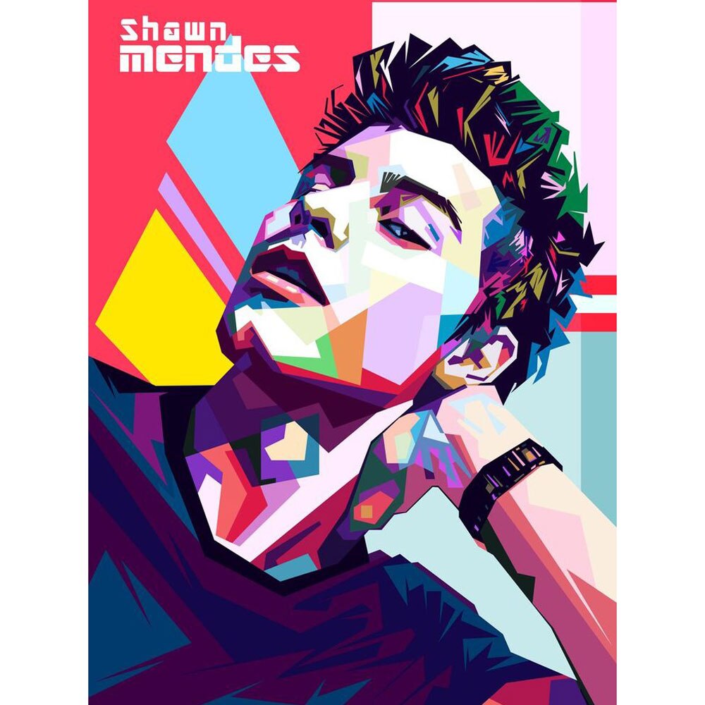Pictura Canvas, Portret colorat Shawn Mendes, 40x55 cm - eMAG.ro
