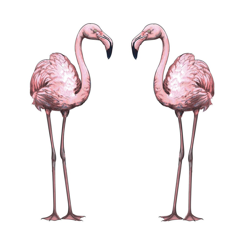 Autocolante de perete, Model Flamingo indragostiti, Roz - eMAG.ro